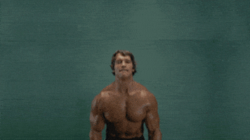 Cat Workout GIFs - Get the best GIF on GIPHY
