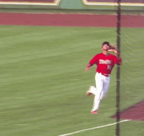Baseball Sliding GIF by Fort Wayne TinCaps - Find & Share on GIPHY