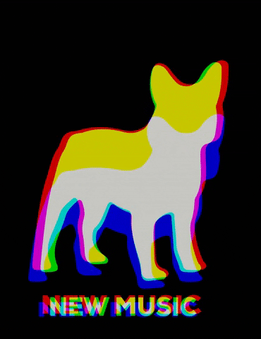 News-music GIFs - Get the best GIF on GIPHY