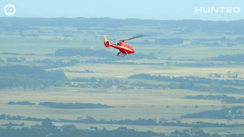 Hunted Australia GIFs - Find & Share on GIPHY