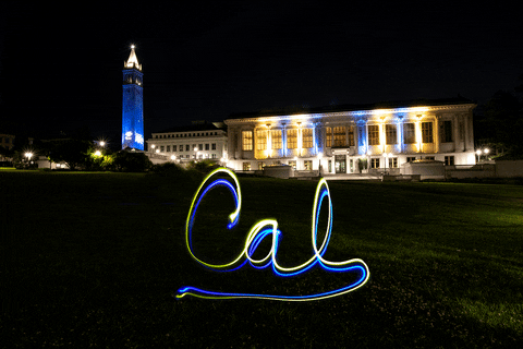 Uc Berkeley GIF by Cal - Find & Share on GIPHY