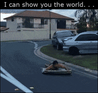 Aladdin I Can Show You The World Gif