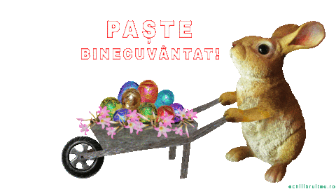 Paste fericit GIFs & Stickers! by echilibrultau | GIPHY