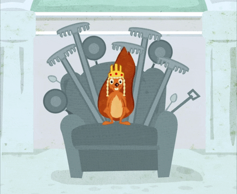 Squirrel Of Thrones GIFs - Get the best GIF on GIPHY