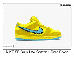 20th NIKE SB Dunk GIFs on GIPHY - Be Animated