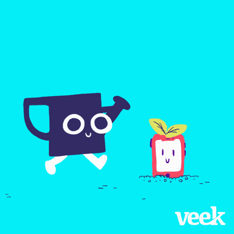 Veek 2019 GIFs - Get the best GIF on GIPHY