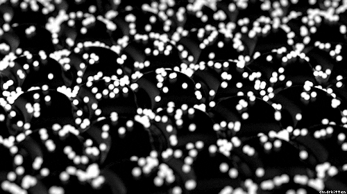 Infinite Loop Looping GIF by CmdrKitten - Find & Share on GIPHY