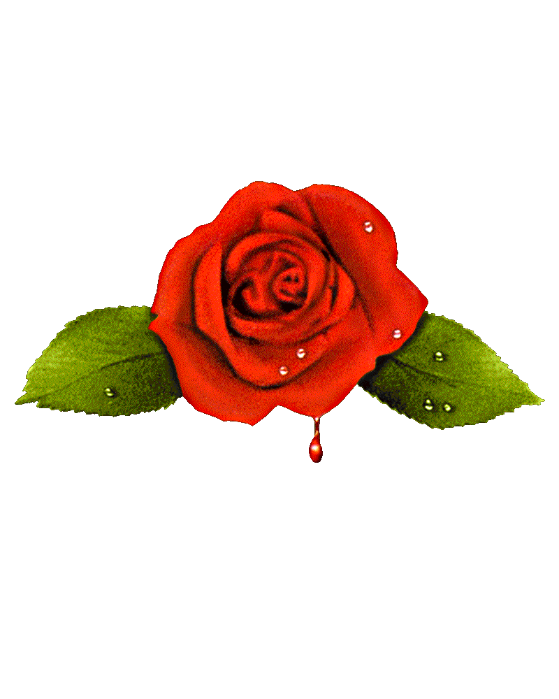 Rose Gnfnr Sticker by Guns N' Roses for iOS & Android | GIPHY