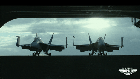 Top Gun Goose Gif