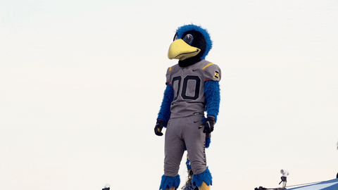Air Force GIF by Air Force Falcons - Find & Share on GIPHY