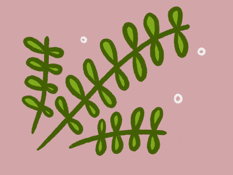 Small Leaves GIFs - Get the best GIF on GIPHY