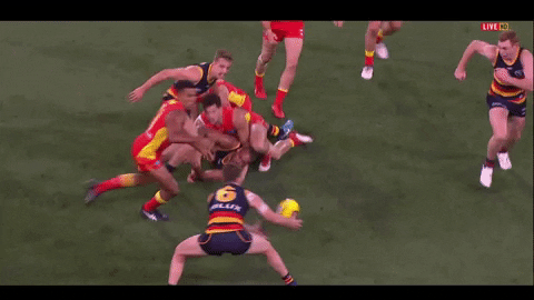 Afl Gibbs GIF by Adelaide Crows - Find & Share on GIPHY