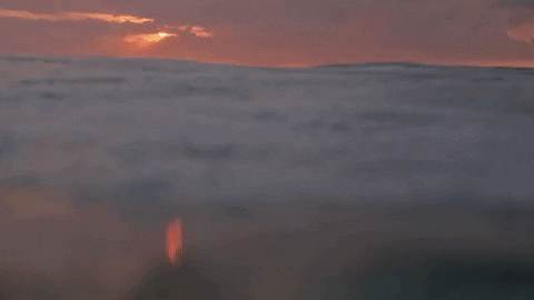 Pacific-oean GIFs - Get the best GIF on GIPHY
