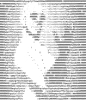 Ascii Art GIFs - Find & Share on GIPHY