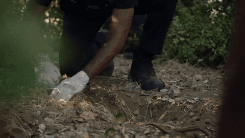 Body Corpse GIF by ABC Network - Find & Share on GIPHY