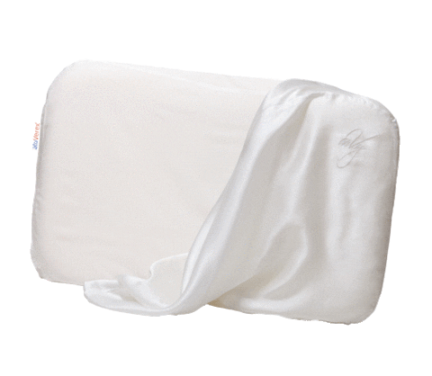 enVy Pillow GIFs on GIPHY - Be Animated