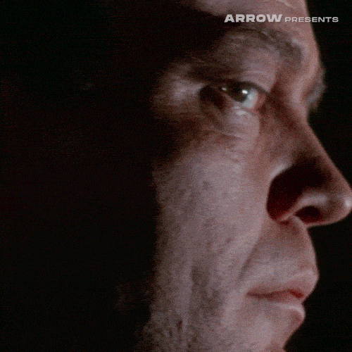 Pardwn GIFs - Find & Share on GIPHY