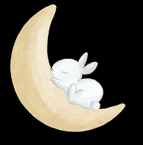 Sleeping Rabbit GIFs - Get the best GIF on GIPHY