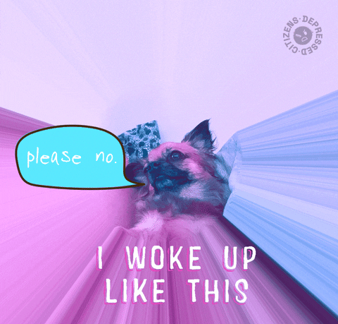 Good Morning No GIF by Depressed Citizens - Find & Share on GIPHY