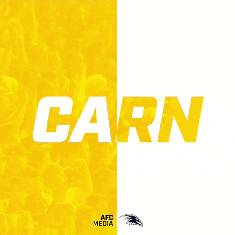 Carn The Crows GIFs - Get the best GIF on GIPHY
