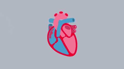 Electrocardiograma GIFs - Get the best GIF on GIPHY