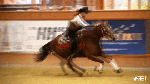 Reining Leading Ladies GIF by FEI Global - Find & Share on GIPHY