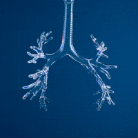 Gif De Pulmones Rett Syndrome Breath Arrest Treatment Discovered