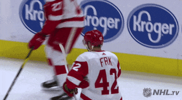 Detroit Red Wings GIFs on GIPHY - Be Animated