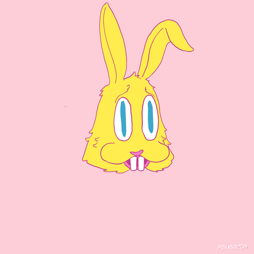 Stoned Bunny GIF by Animation Domination High-Def - Find & Share on GIPHY
