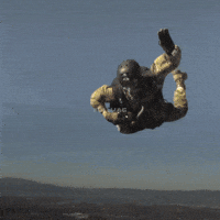 Flying Squirrel Gif
