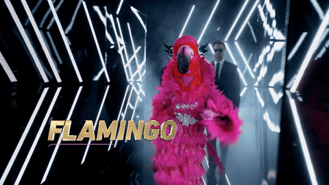 GIF by The Masked Singer - Find & Share on GIPHY