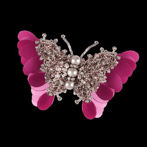 Accessories Brooch GIF by Aidan and Ice - Find & Share on GIPHY