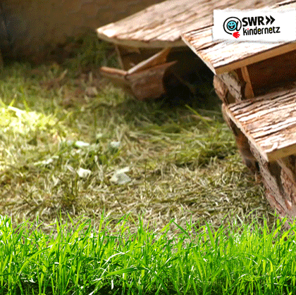 Gesucht GIFs - Get the best GIF on GIPHY