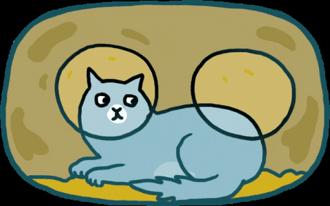 Help Cat GIFs - Get the best GIF on GIPHY