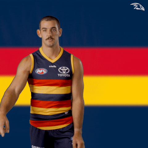 No Deal Afl GIF by Adelaide Crows - Find & Share on GIPHY