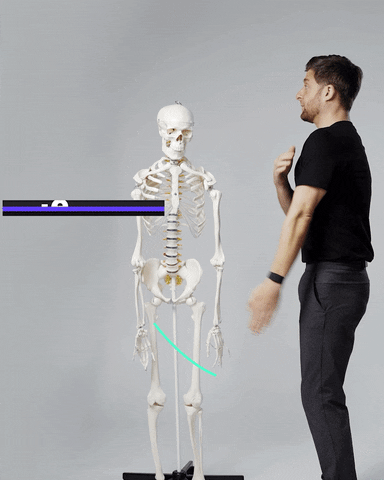 Arm-flexion GIFs - Find & Share on GIPHY