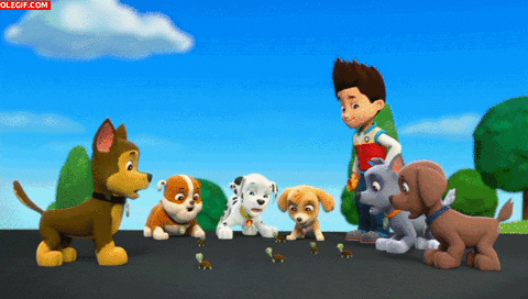 Patrulla Canina GIFs - Get the best GIF on GIPHY