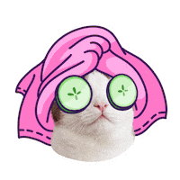 Transparent Grumpy Cat Gif