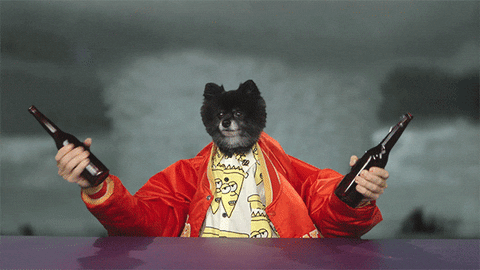 Pomeranian Explosion GIFs - Get the best GIF on GIPHY