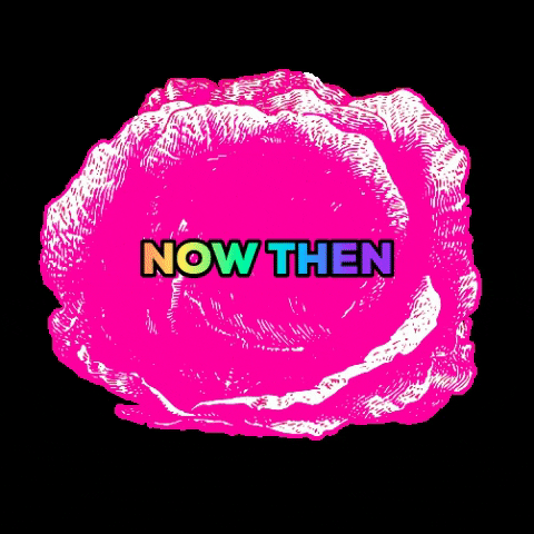 Cabbage Patch Bakery GIFs - Get the best GIF on GIPHY