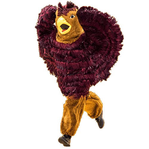 Go Hawks Sticker by Saint Josephs University for iOS & Android | GIPHY