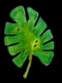 Frond is denied boarding India flight from Frankfurt : r/immigration