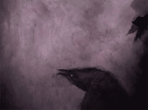 And Murders Of Crows GIFs - Get the best GIF on GIPHY