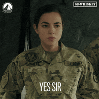 Yes Sir Army