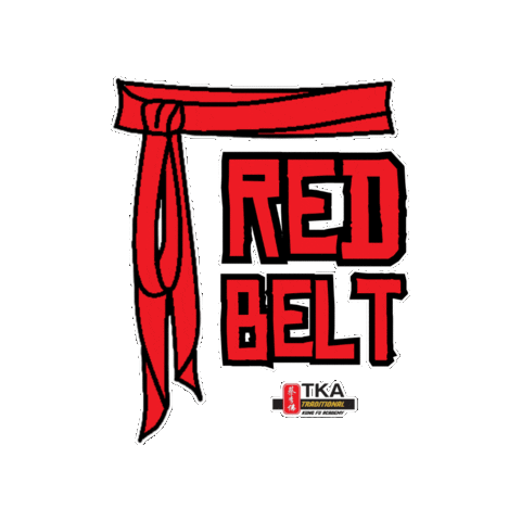 TKA Kung Fu GIFs on GIPHY - Be Animated