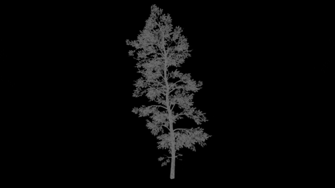 Animation Dying GIF by erica shires - Find & Share on GIPHY