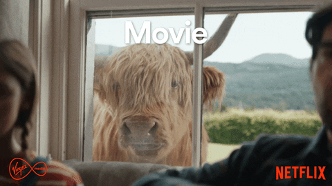 Movies-netflix GIFs - Get the best GIF on GIPHY