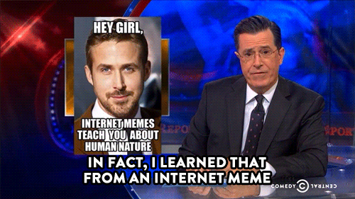 Internet-meme GIFs - Get the best GIF on GIPHY