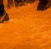 Scrooge Mcduck Animated Gif