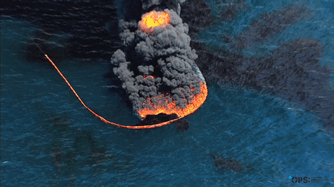 Racing Extinction GIFs - Get the best GIF on GIPHY